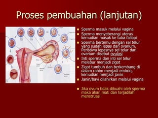 SISTEM REPRODUKSI PADA MANUSIA.ppt