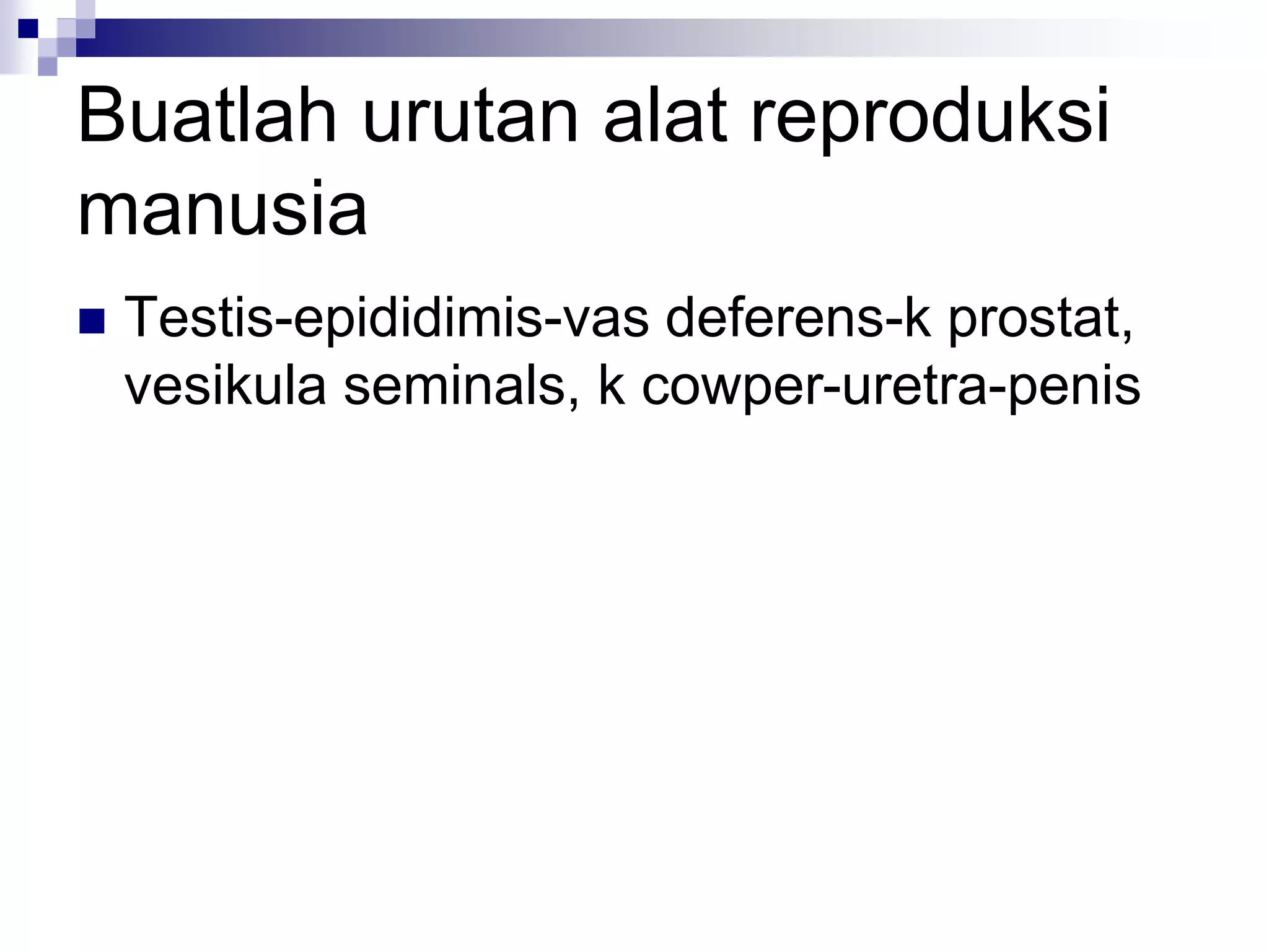 SISTEM REPRODUKSI PADA MANUSIA.ppt