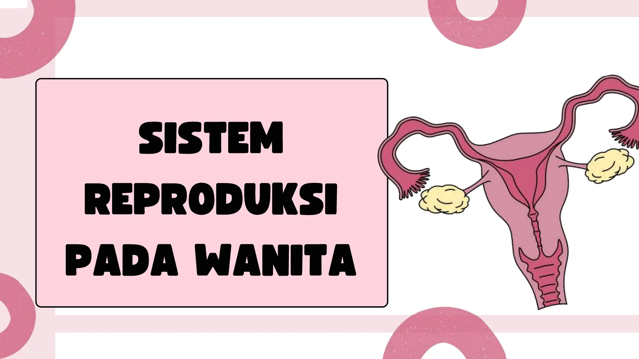 Sistem Reproduksi Pada Manusia Pria dan Wanita.pptx