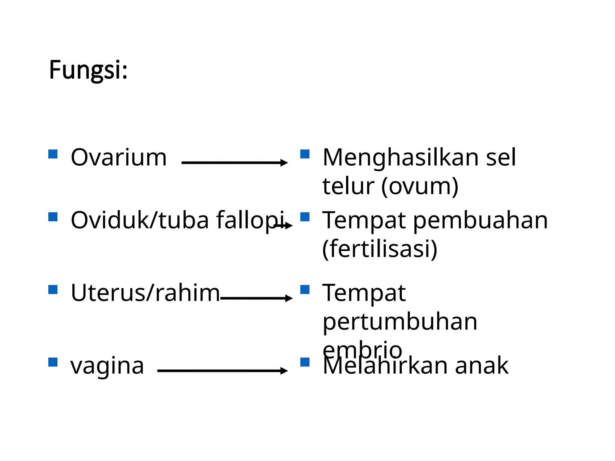 SISTEM REPRODUKSI PADA MANUSIA KELAS 9 KURIKULUM MERDEKA | PPTX