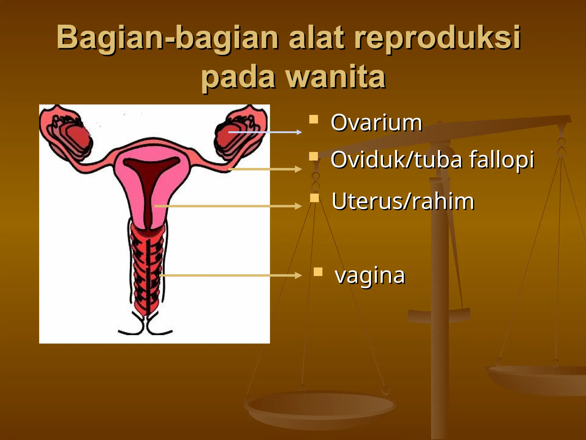 SISTEM REPRODUKSI PADA MANUSIA SMP kelas ix.ppt