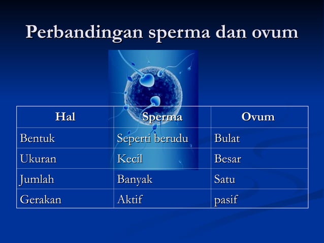 SISTEM REPRODUKSI PADA MANUSIA SMP kelas ix.ppt