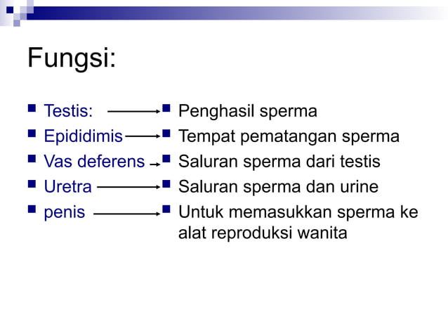 SISTEM REPRODUKSI PADA MANUSIA SMP kelas ix.ppt