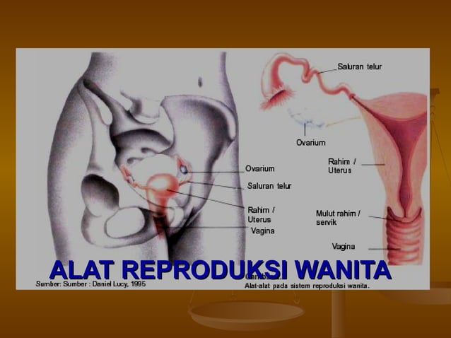SISTEM REPRODUKSI PADA MANUSIA SMP kelas ix.ppt