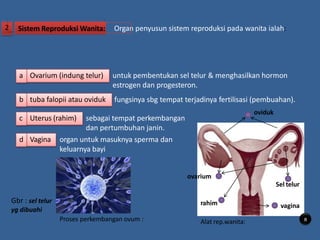 SISTEM REPRODUKSI PADA MANUSIA kls 9.pptx