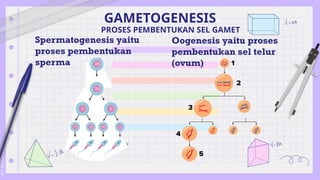 Sistem Reproduksi pada Manusia Nurawira.pptx