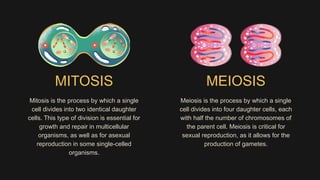 Sistem Reproduksi pada Manusia (Revisi).pptx