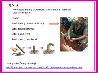 Sistem_Reproduksi_pada_Tumbuhan_dan_Hewan.pdf