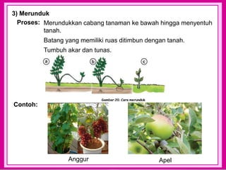 Sistem_Reproduksi_pada_Tumbuhan_dan_Hewan.pdf