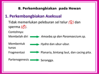 Sistem_Reproduksi_pada_Tumbuhan_dan_Hewan.pdf