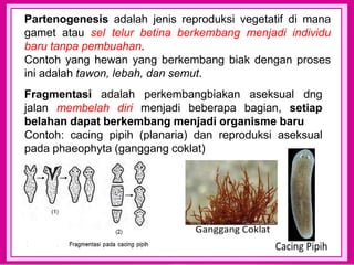 Sistem_Reproduksi_pada_Tumbuhan_dan_Hewan.pdf