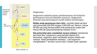Sistem Reproduksi & Pembelahan sel .pptx