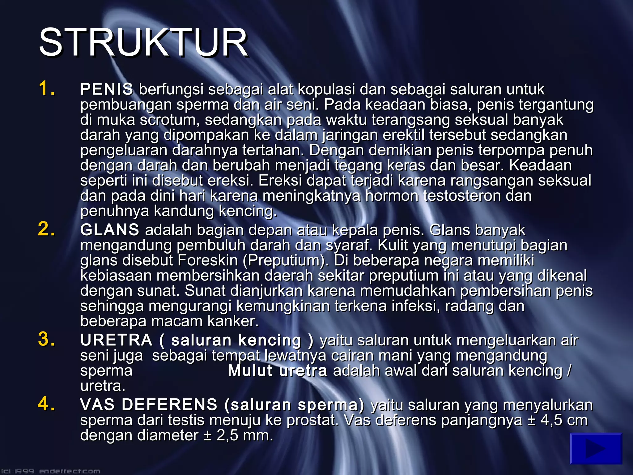 Sistem reproduksi pria | PPT