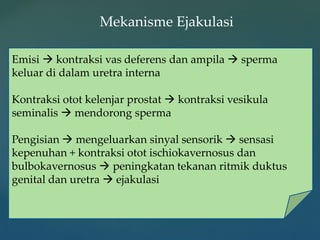 Sistem reproduksi pria | PPT