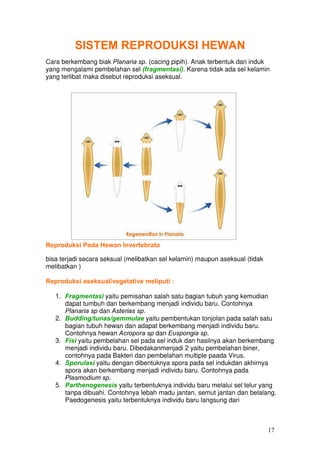 SISTEM_REPRODUKSI_SISTEM_REPRODUKSI_MANU.pdf