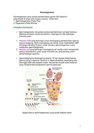 SISTEM_REPRODUKSI_SISTEM_REPRODUKSI_MANU.pdf