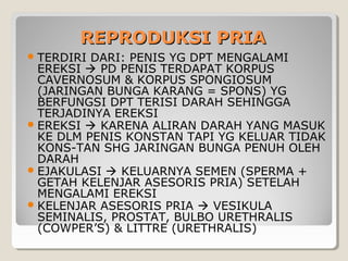 Sistem reproduksi(tugas aji m). | PPT