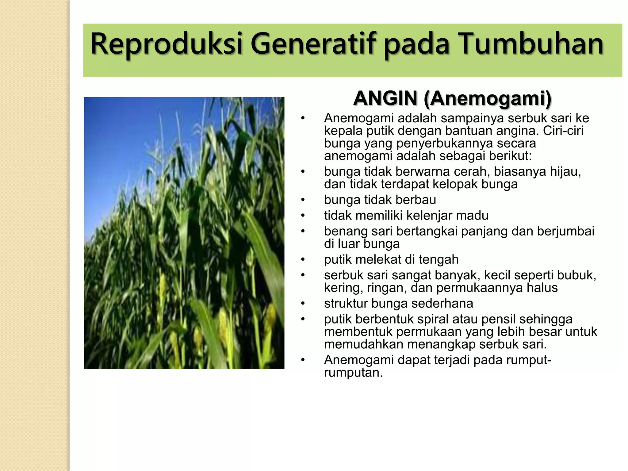 SISTEM REPRODUKSI TUMBUHAN.pptx