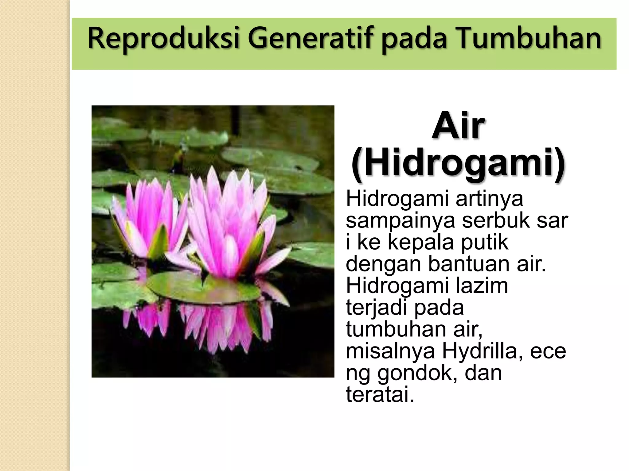 SISTEM REPRODUKSI TUMBUHAN.pptx