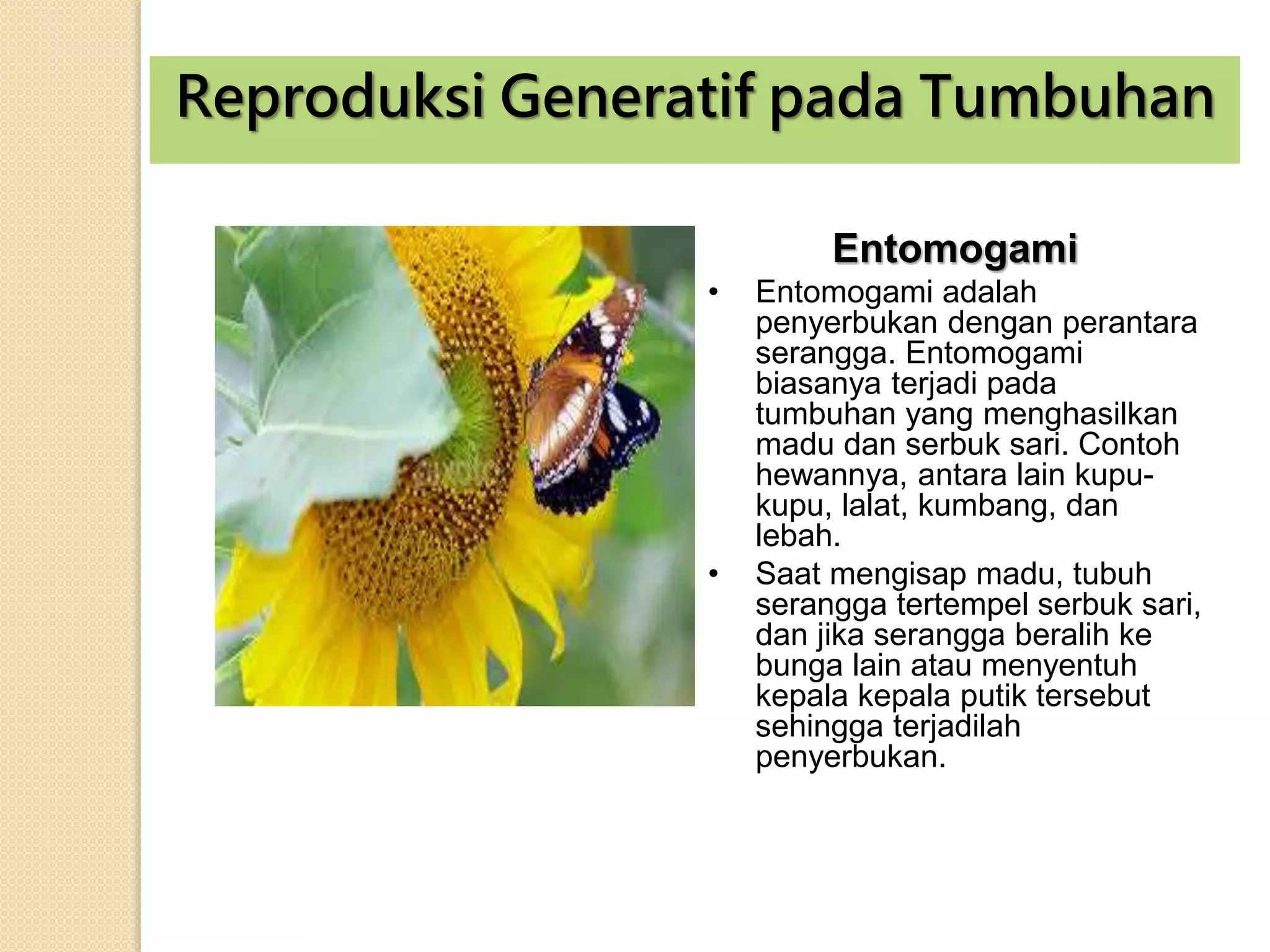 SISTEM REPRODUKSI TUMBUHAN.pptx