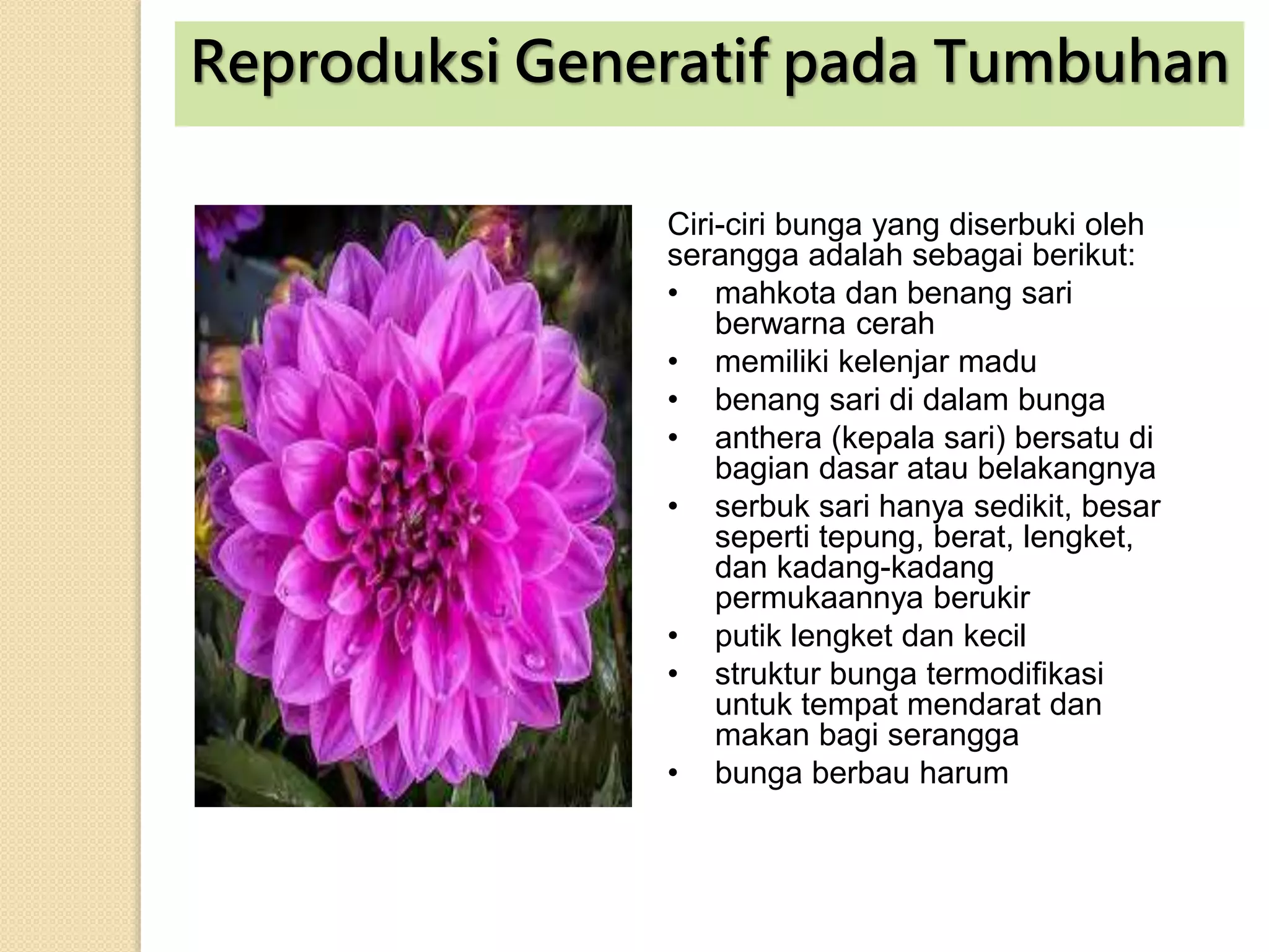 SISTEM REPRODUKSI TUMBUHAN.pptx