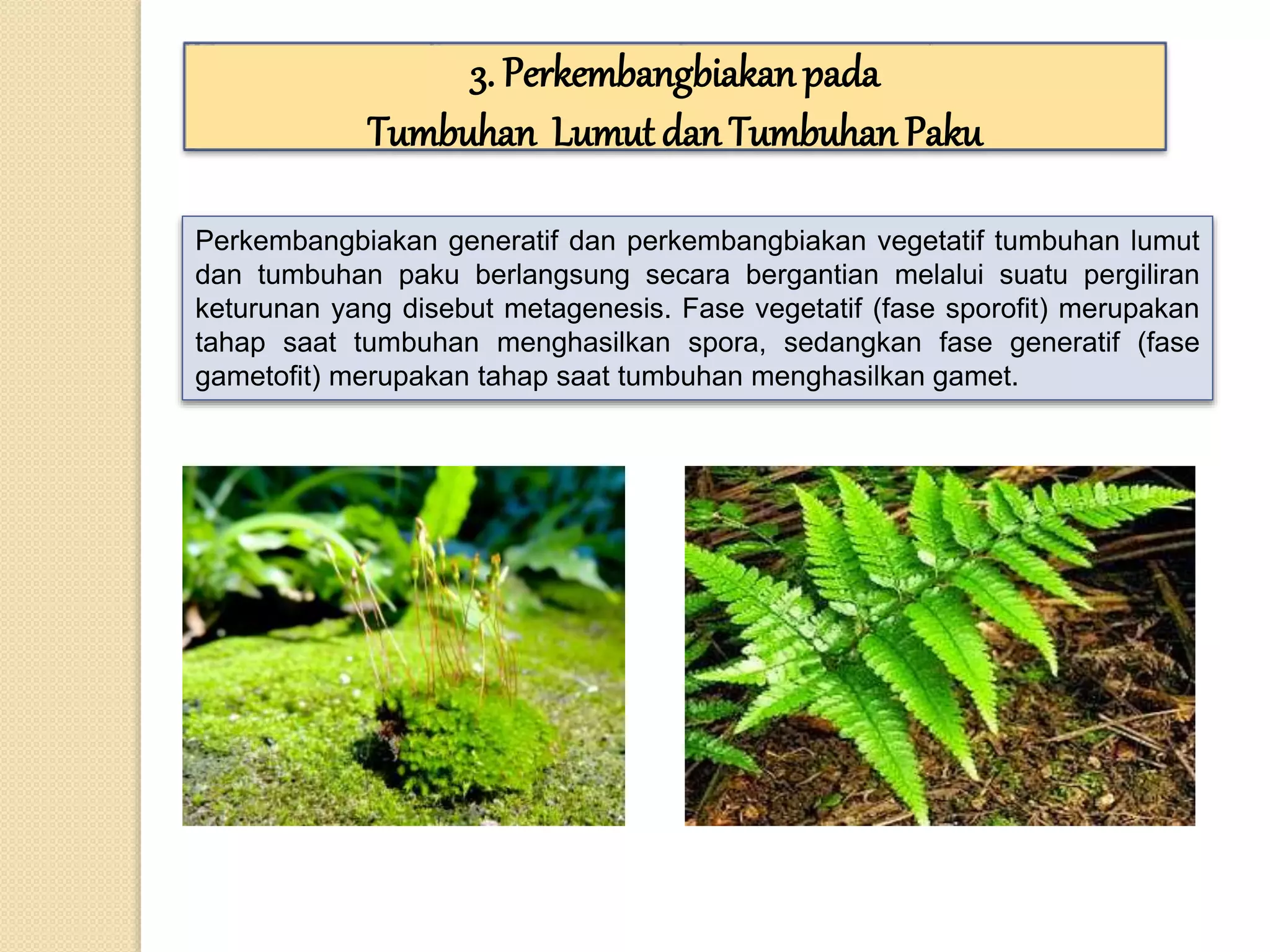 SISTEM REPRODUKSI TUMBUHAN.pptx