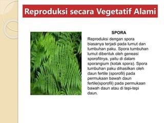 SISTEM REPRODUKSI TUMBUHAN.pptx