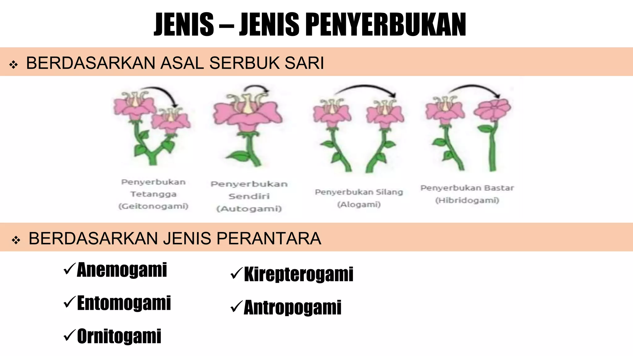 Sistem Reproduksi tumbuhan.pptx