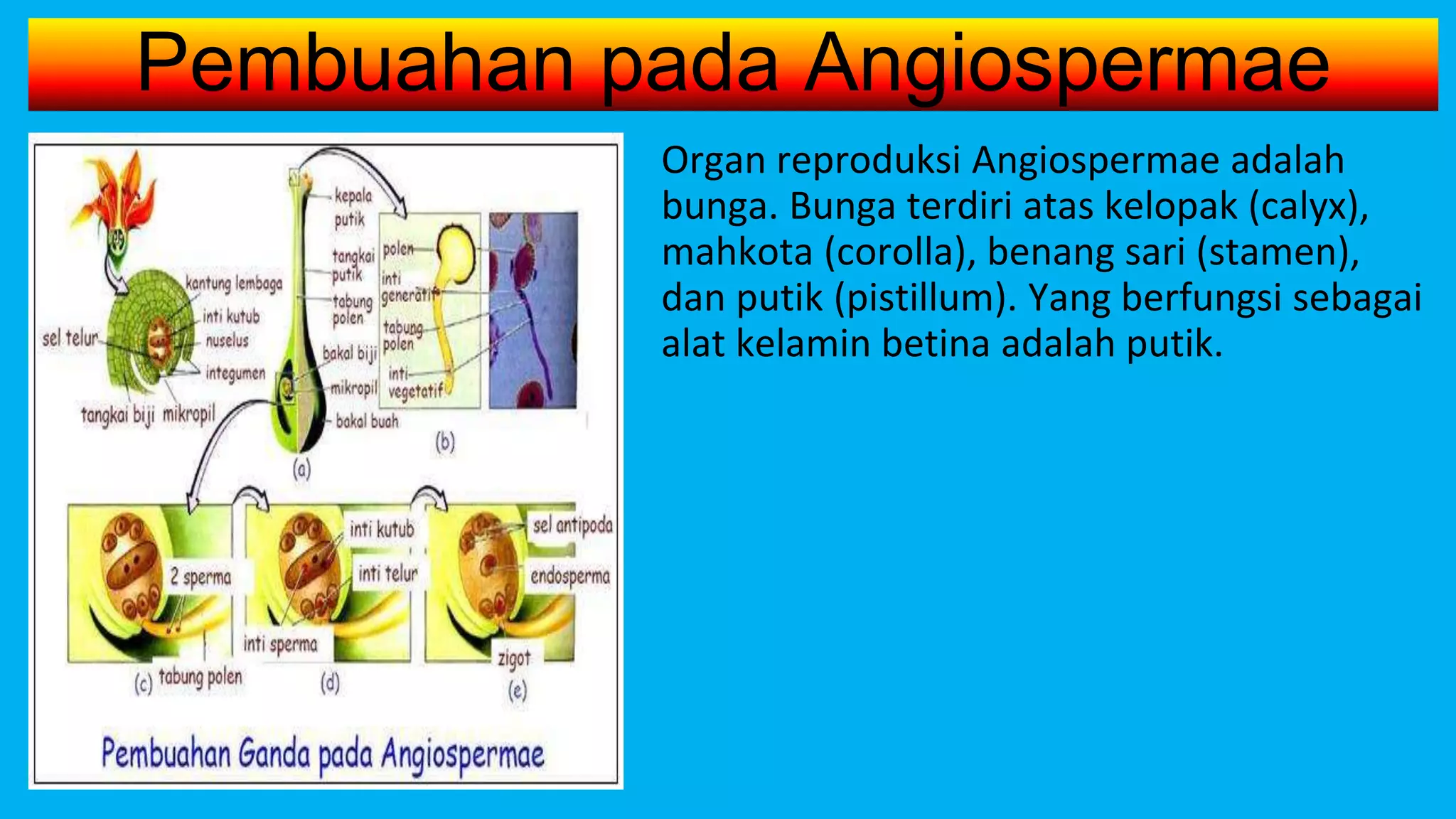 Sistem Reproduksi tumbuhan.pptx