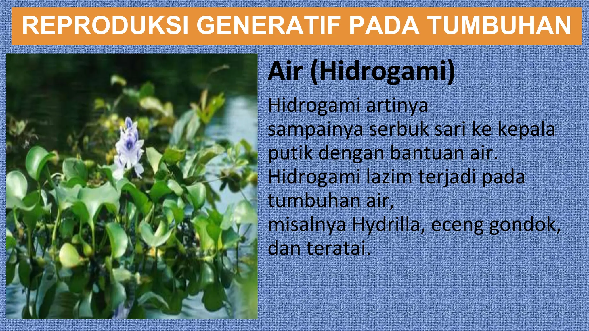 Sistem Reproduksi tumbuhan kelas 9 smp.pptx