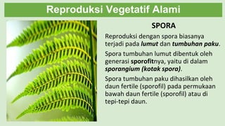 Sistem Reproduksi tumbuhan kelas 9 smp.pptx