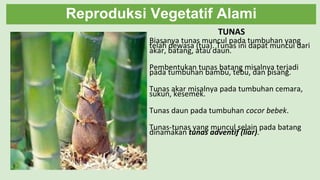 Sistem Reproduksi tumbuhan kelas 9 smp.pptx