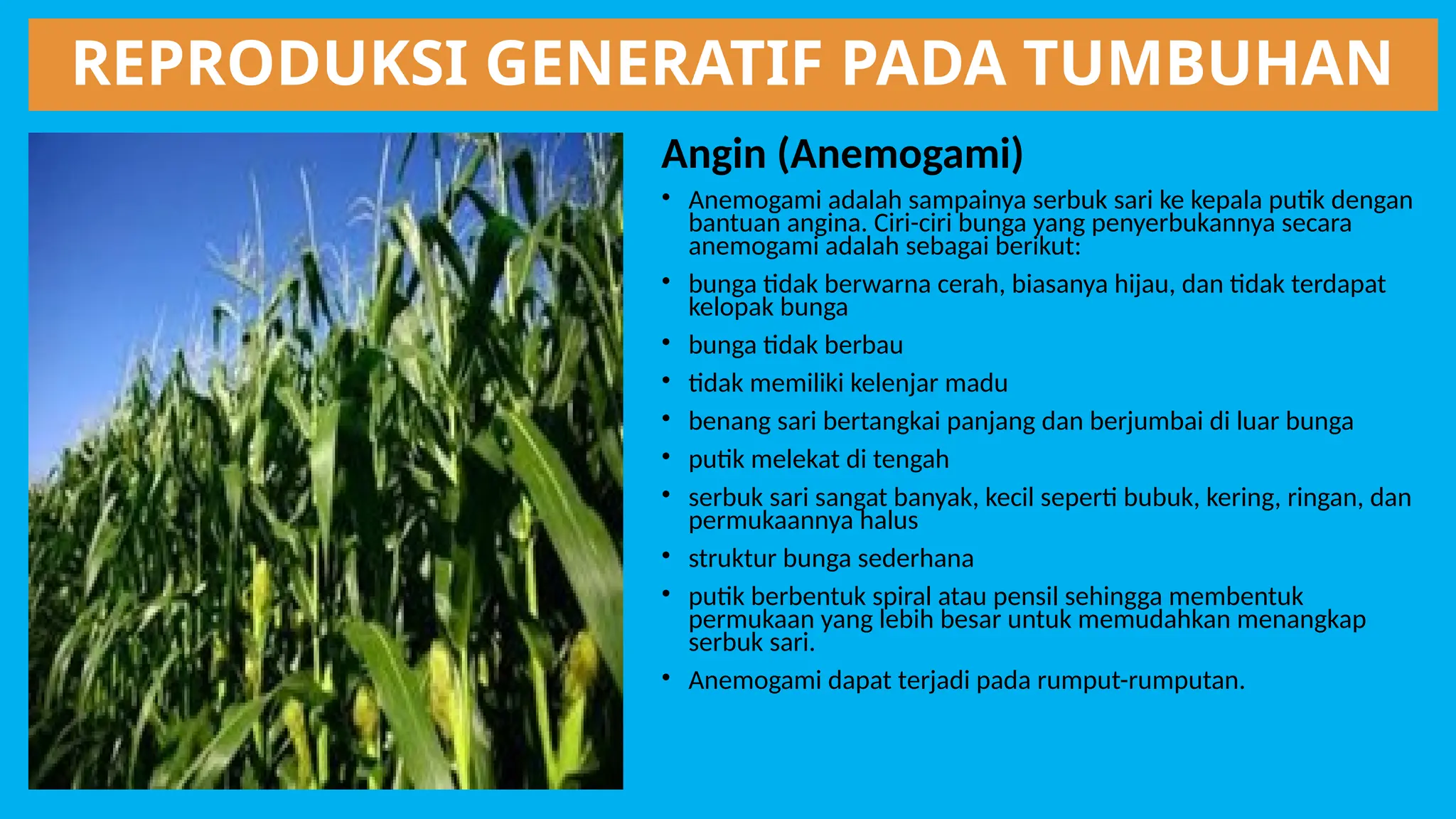 materi kelas ix Sistem Reproduksi tumbuhan.pptx