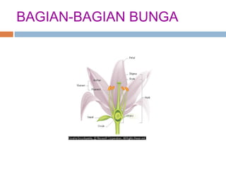 Sistem reproduksi tumbuhan dan hewan | PPT