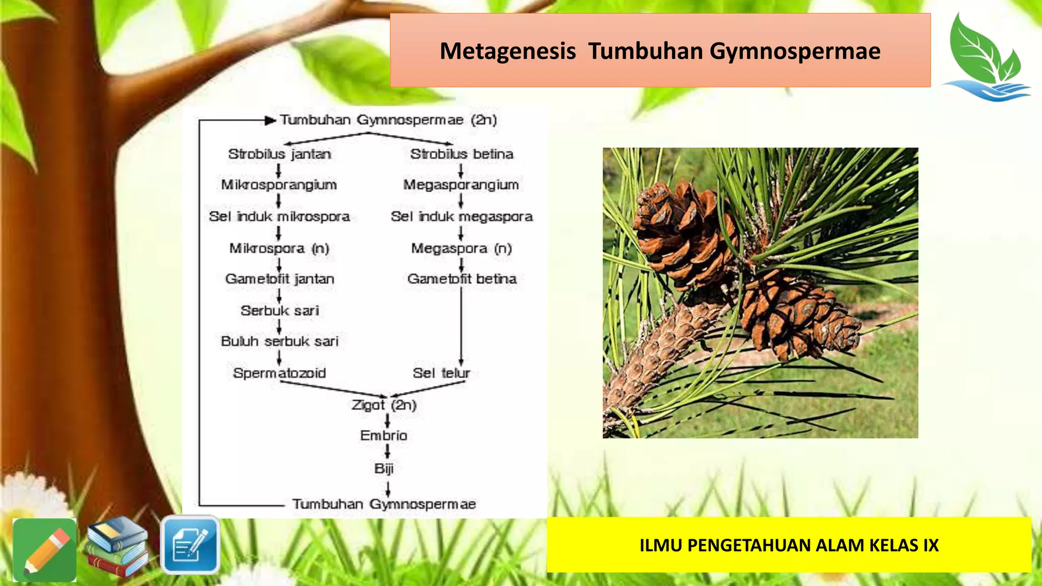 sistem reproduksi tumbuhan dan hewan.pptx