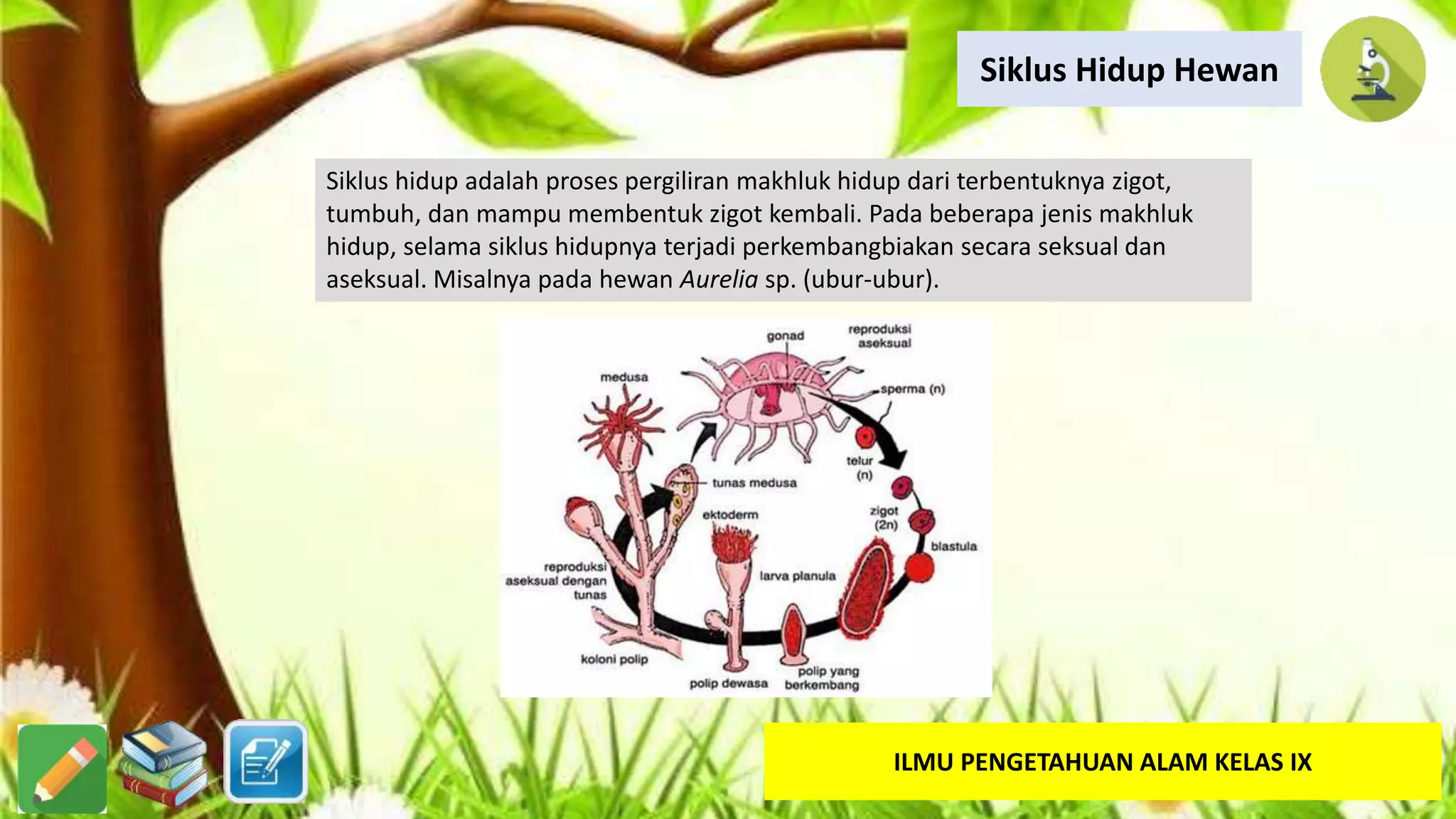 sistem reproduksi tumbuhan dan hewan.pptx