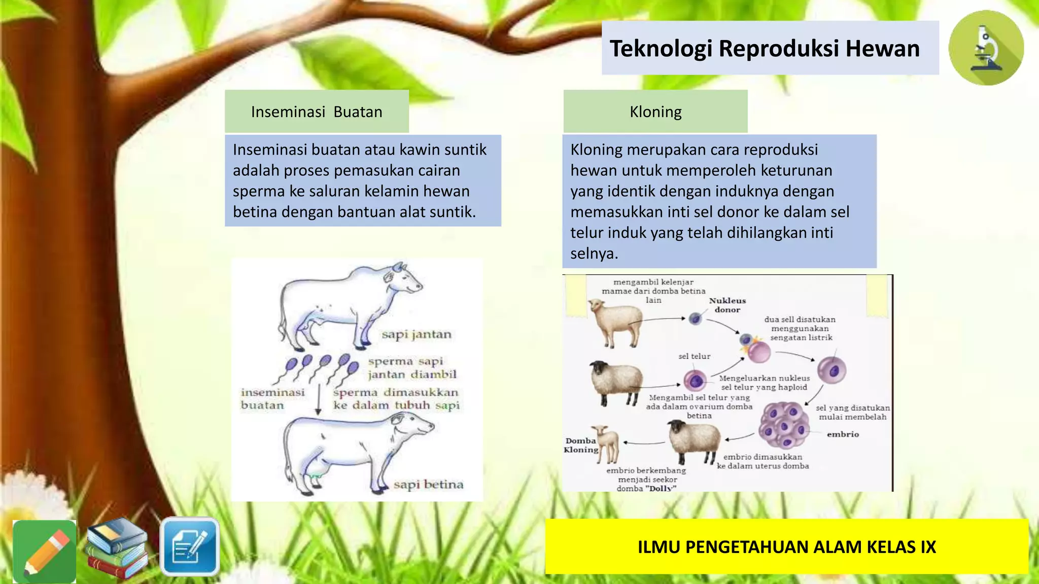 sistem reproduksi tumbuhan dan hewan.pptx