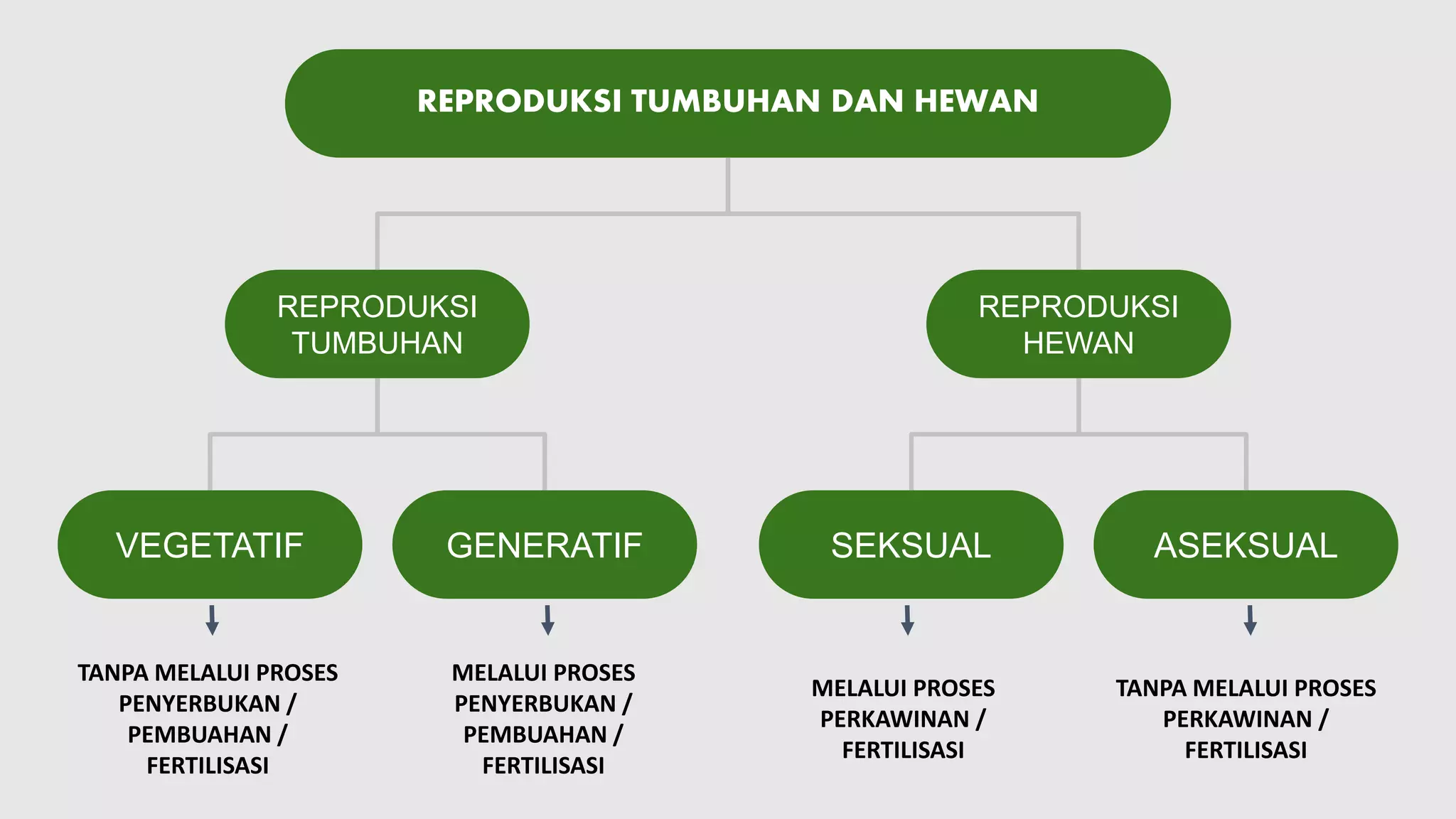 sistem reproduksi tumbuhan dan hewan.pptx