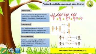sistem reproduksi tumbuhan dan hewan.pptx