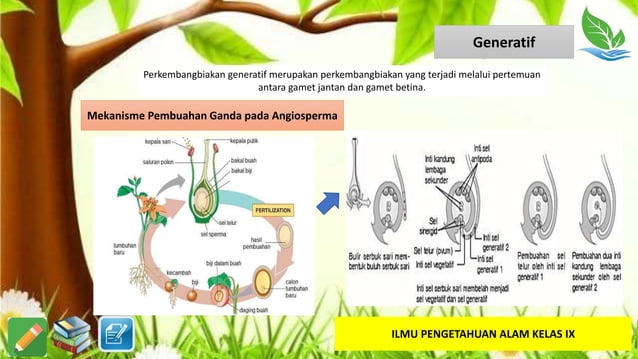 sistem reproduksi tumbuhan dan hewan.pptx