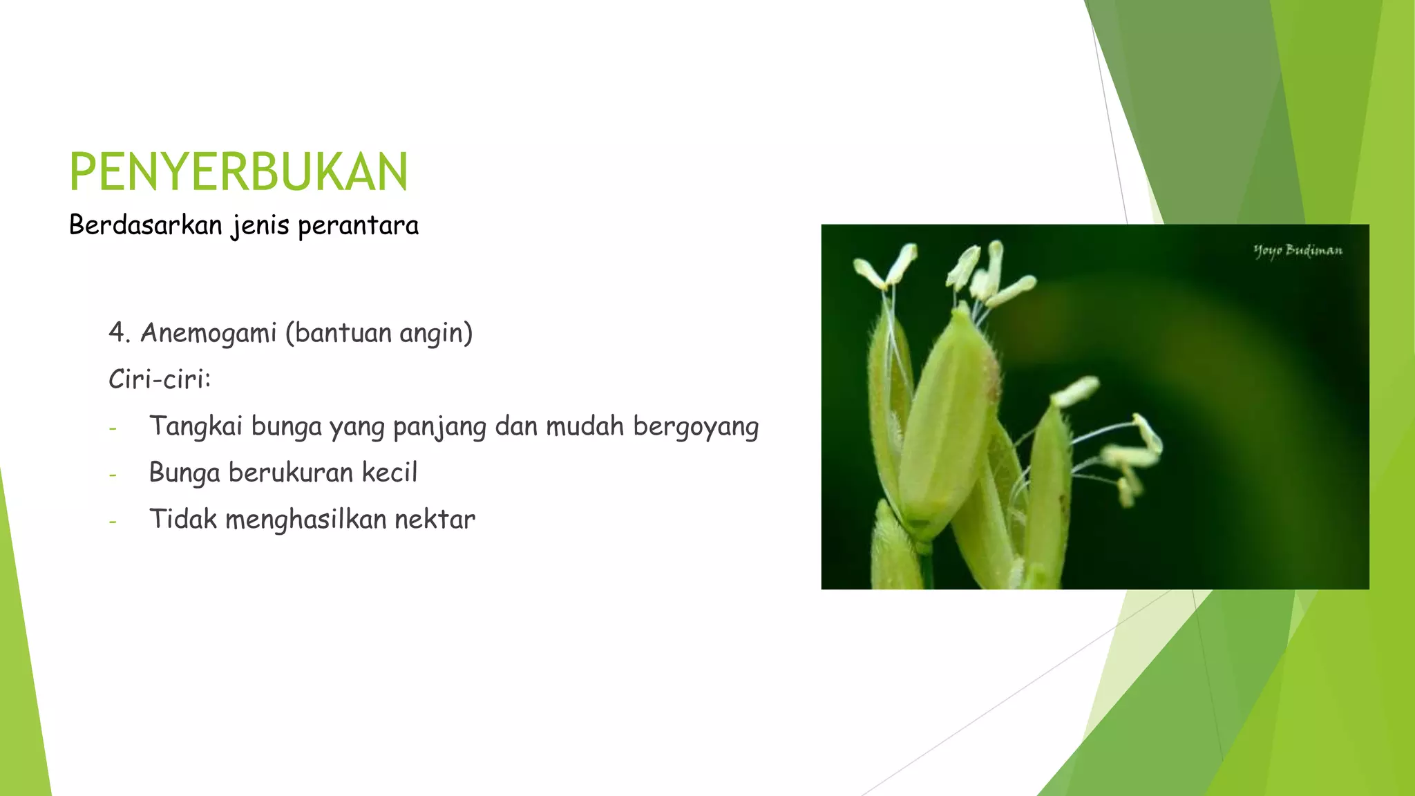 Sistem Reproduksi Tumbuhan dan Hewan.pptx