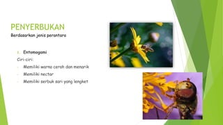 Sistem Reproduksi Tumbuhan dan Hewan.pptx