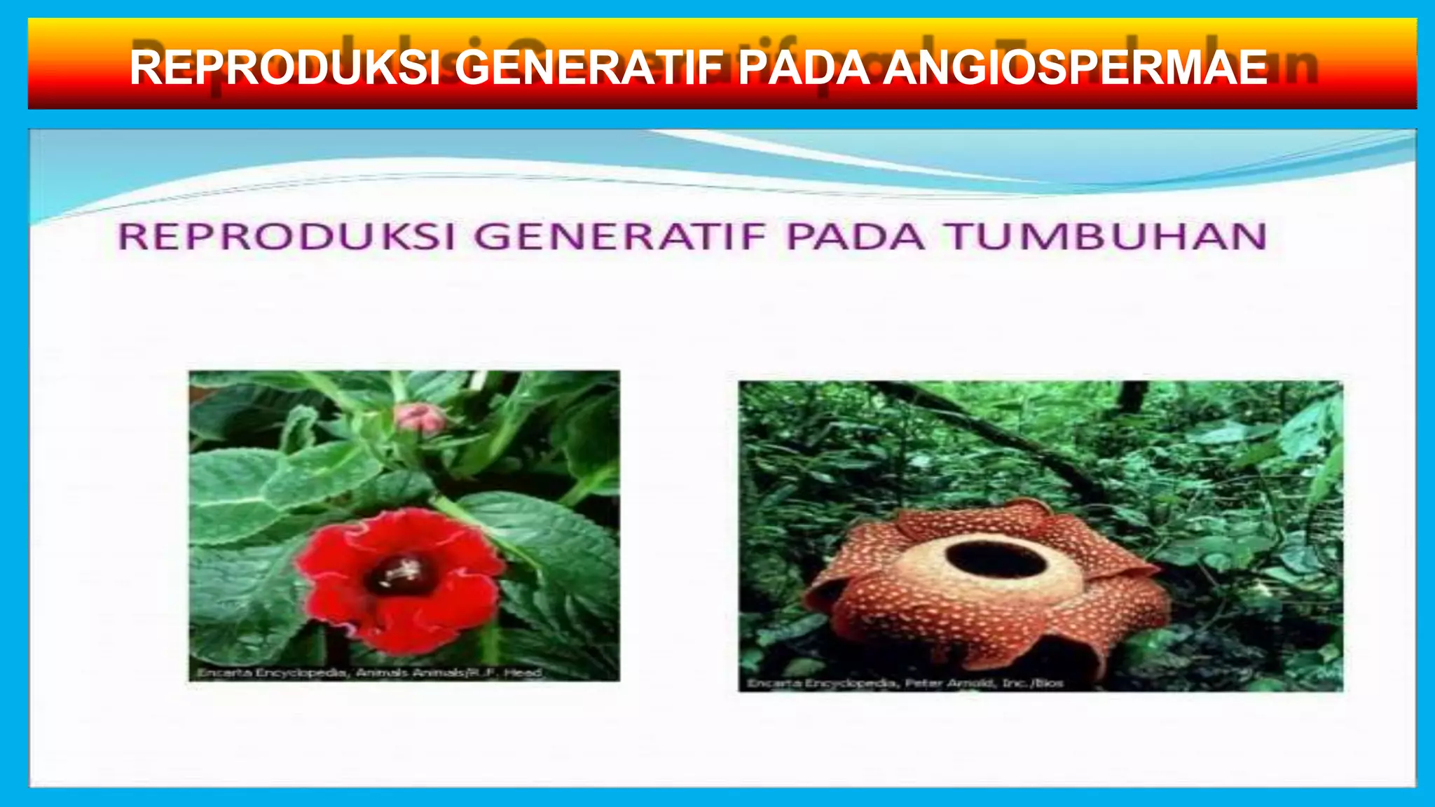 SISTEM REPRODUKSI TUMBUHAN DAN HEWAN 1.pptx