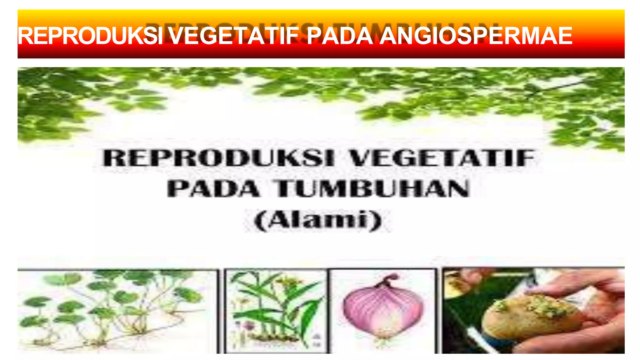 SISTEM REPRODUKSI TUMBUHAN DAN HEWAN 1.pptx