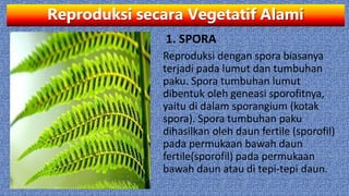 SISTEM REPRODUKSI TUMBUHAN DAN HEWAN 1.pptx