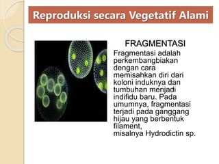 SISTEM REPRODUKSI TUMBUHAN IPA 4.pptx