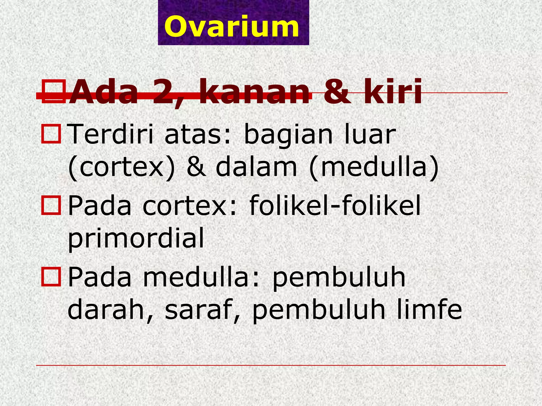 Sistem Reproduksi Wanita | PPTX