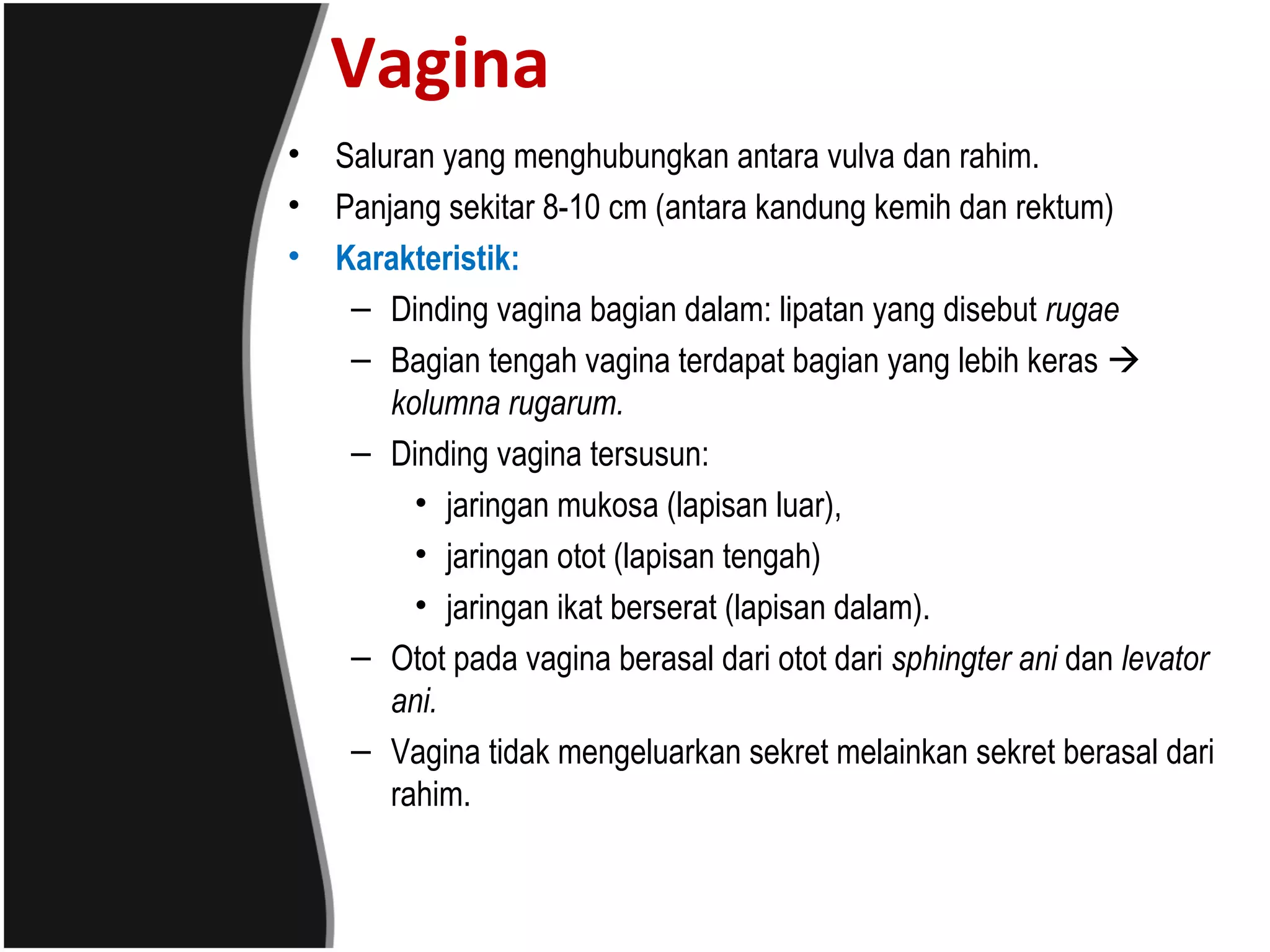 SISTEM REPRODUKSI WANITA | PPT