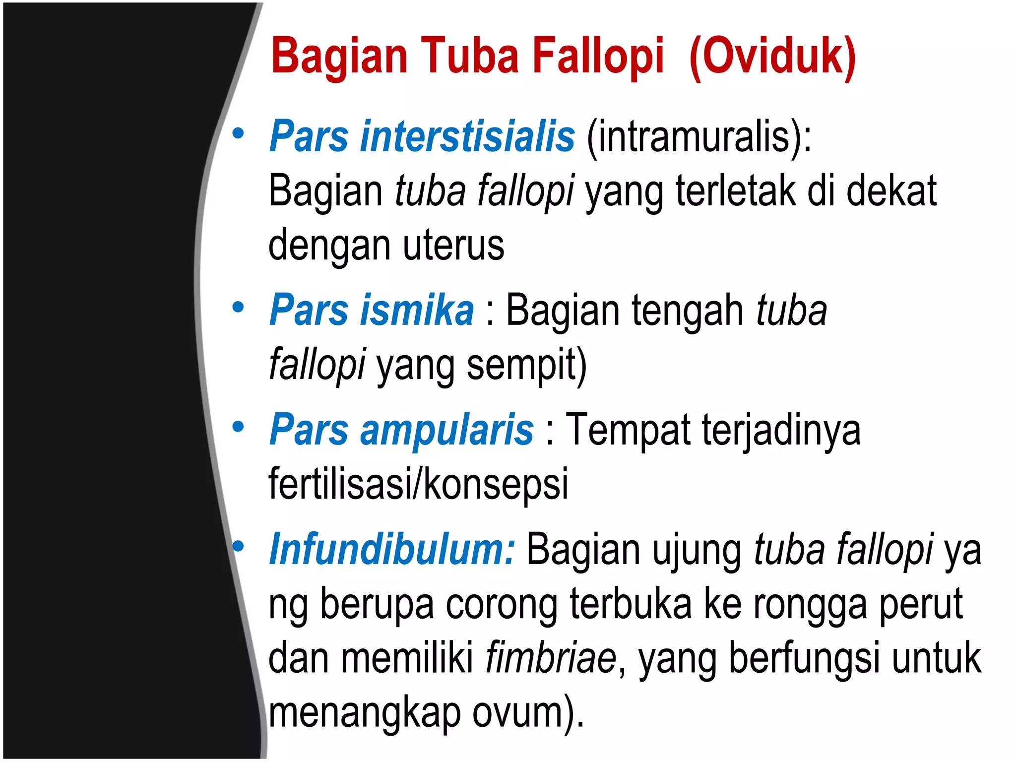 SISTEM REPRODUKSI WANITA | PPT