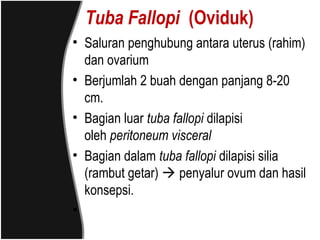 SISTEM REPRODUKSI WANITA | PPT